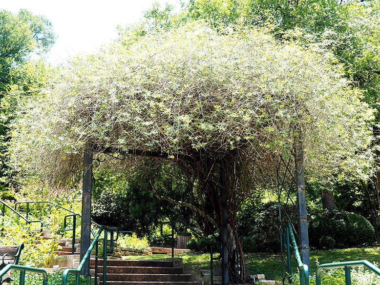 Top 13 Austin Spots You Must Absolutely Visit — Whatever is Lovely